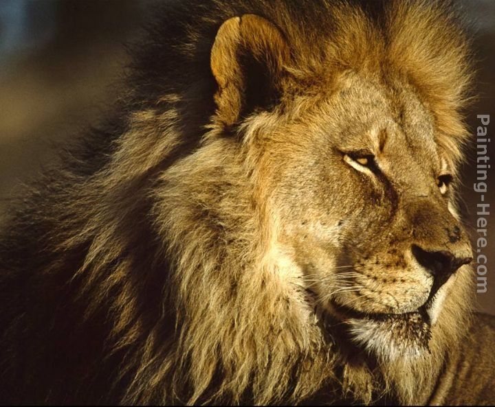 Unknown Artist Lion ESK Painting - iPaintingsforsale.com