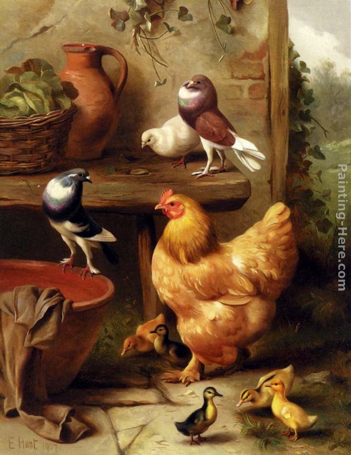 Edgar Hunt A Chicken, Doves, Pigeons And Ducklings Painting ...